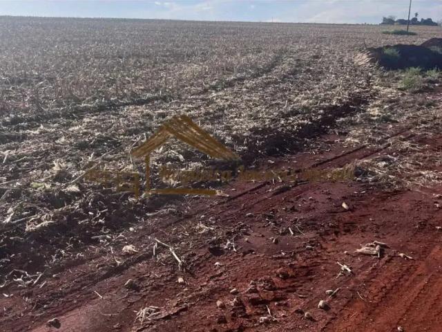 Sítio / Chácara para Venda em Ourinhos/SP Área Rural de Ourinhos