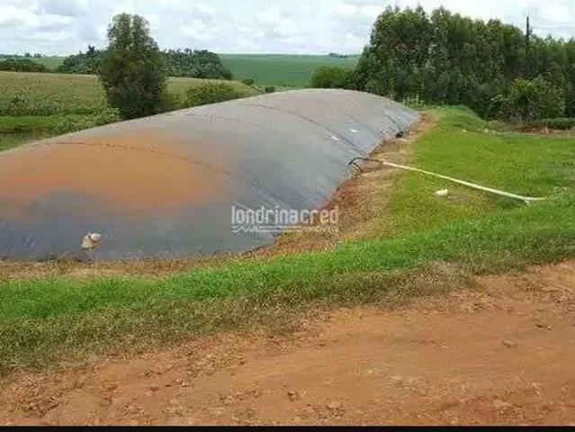Sítio / Chácara para Venda em Ouro Verde do Oeste/PR Zona Rural