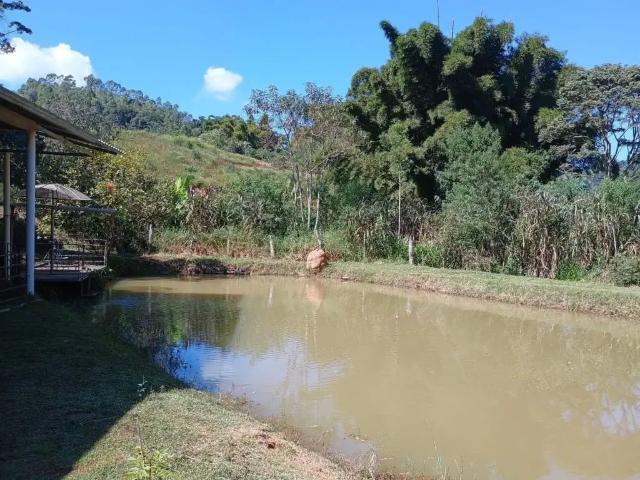 Sítio / Chácara para Venda em Ouro Branco/MG Zona Rural 3 Quartos