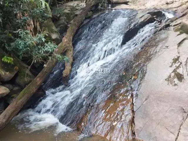 Sítio / Chácara para Venda em Ouro Fino/MG Zona Rural 1 Quartos