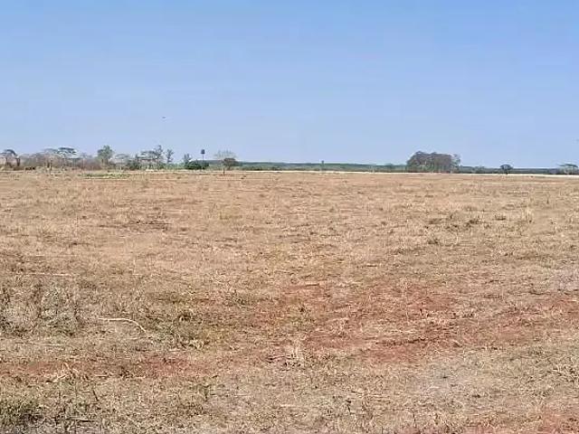 Sítio / Chácara para Venda em Ouroeste/SP Centro