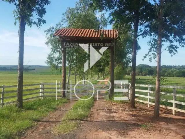 Sítio / Chácara para Venda em Loanda/PR Zona Rural 1 Quartos