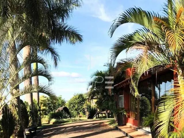 Sítio / Chácara para Venda em Londrina/PR Usina 5 Quartos