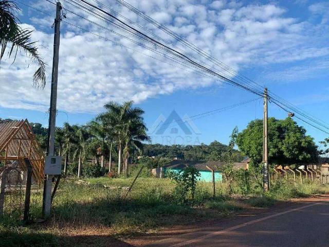 Sítio / Chácara para Venda em Londrina/PR Usina 1 Quartos