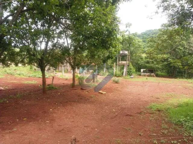 Sítio / Chácara para Venda em Londrina/PR Usina 1 Quartos
