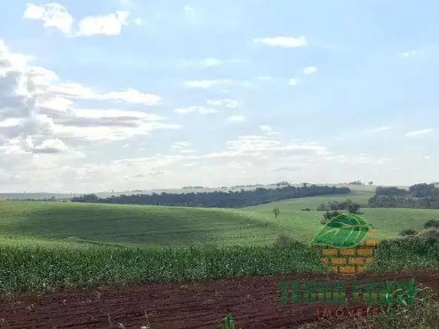 Sítio / Chácara para Venda em Londrina/PR Vila Ipiranga 1 Quartos