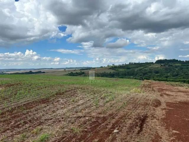 Sítio / Chácara para Venda em Londrina/PR Warta 1 Quartos