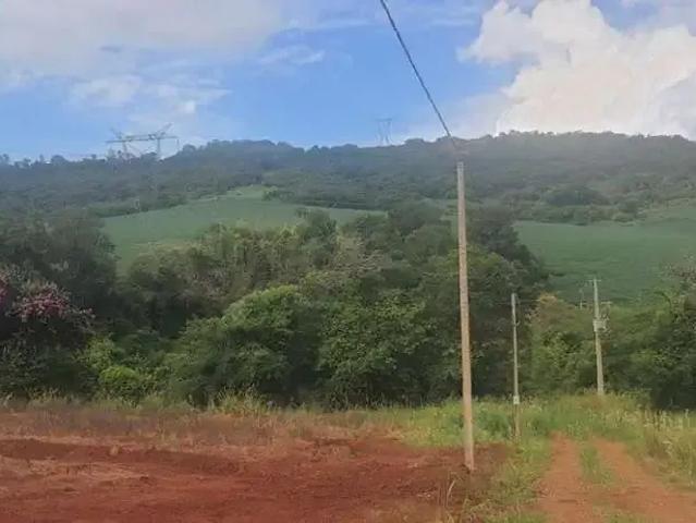 Sítio / Chácara para Venda em Londrina/PR Área Rural de Londrina