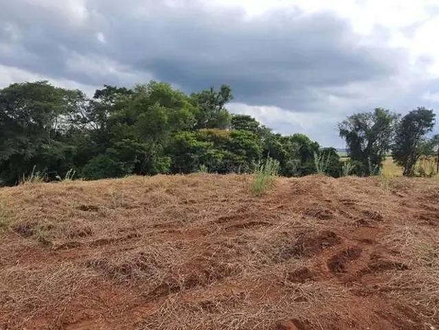 Sítio / Chácara para Venda em Londrina/PR Área Rural de Londrina