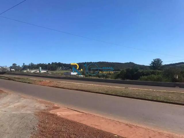 Sítio / Chácara para Venda em Londrina/PR Área Rural de Londrina