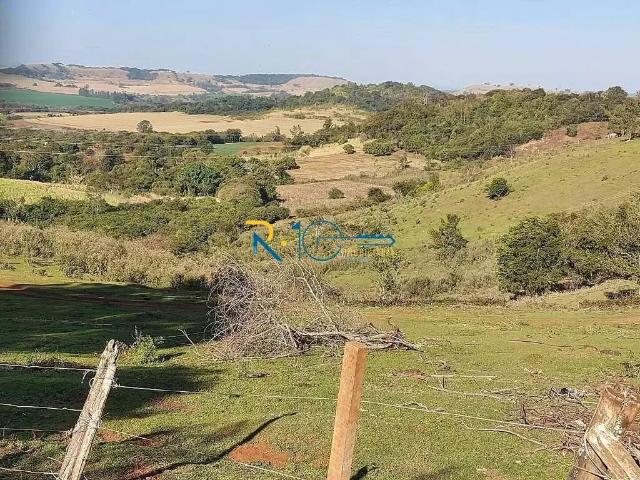 Sítio / Chácara para Venda em Londrina/PR Área Rural de Londrina