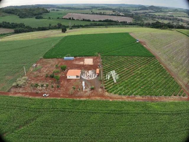 Sítio / Chácara para Venda em Londrina/PR Área Rural de Londrina 2 Quartos