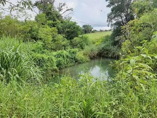 Sítio / Chácara para Venda em Londrina/PR Área Rural de Londrina