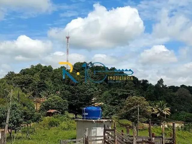 Sítio / Chácara para Venda em Londrina/PR Área Rural de Londrina