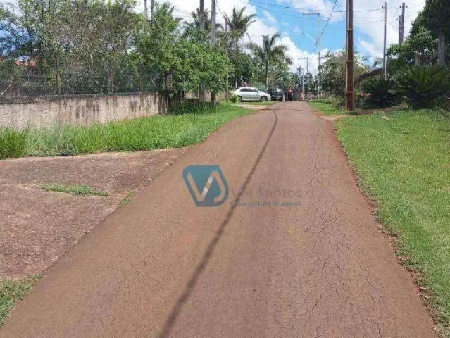 Sítio / Chácara para Venda em Londrina/PR Conjunto Habitacional Jamile Dequech 3 Quartos
