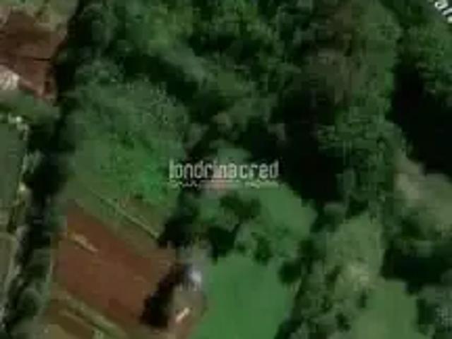Sítio / Chácara para Venda em Londrina/PR Conjunto Habitacional Jamile Dequech