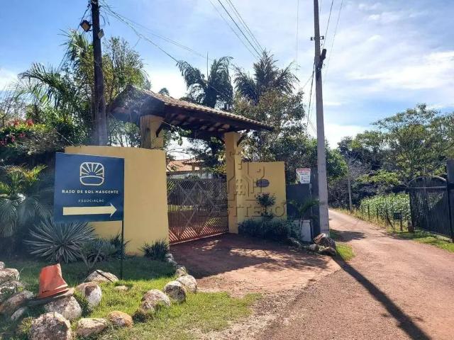 Sítio / Chácara para Venda em Londrina/PR Coroados
