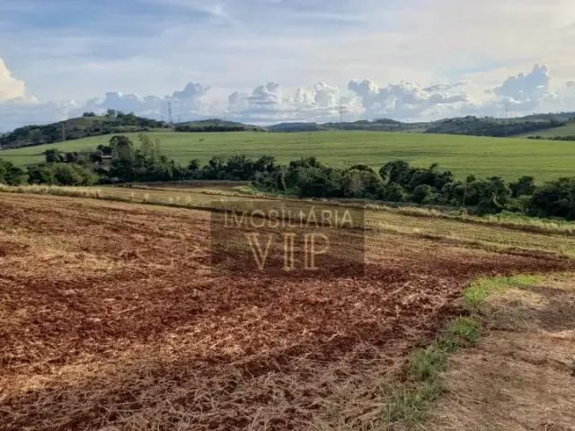Sítio / Chácara para Venda em Londrina/PR Coroados 3 Quartos