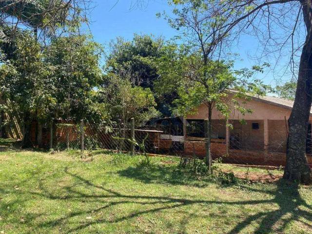 Sítio / Chácara para Venda em Londrina/PR Dom Pedro I