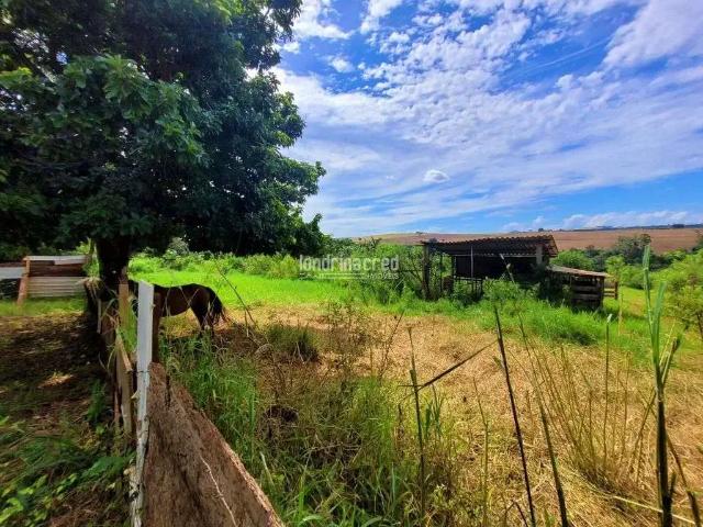 Sítio / Chácara para Venda em Londrina/PR Dom Pedro I 2 Quartos