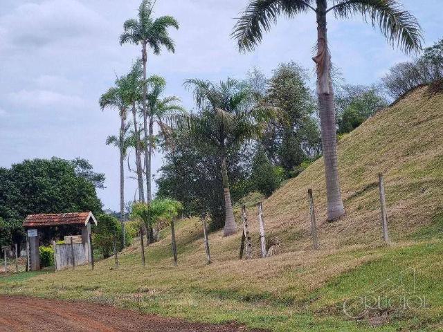Sítio / Chácara para Venda em Londrina/PR Fazenda Nata 2 Quartos