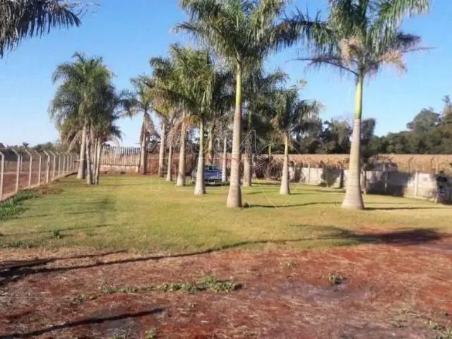 Sítio / Chácara para Venda em Londrina/PR Gleba Fazenda Palhano