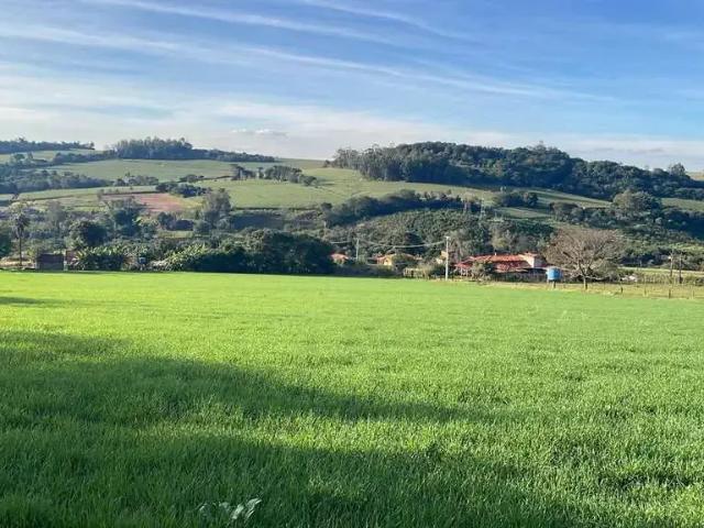 Sítio / Chácara para Venda em Londrina/PR Gleba Fazenda Palhano