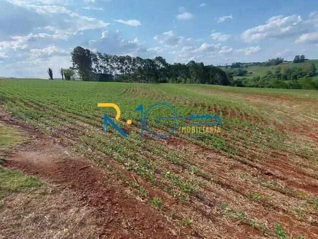 Sítio / Chácara para Venda em Londrina/PR Gleba Fazenda Palhano