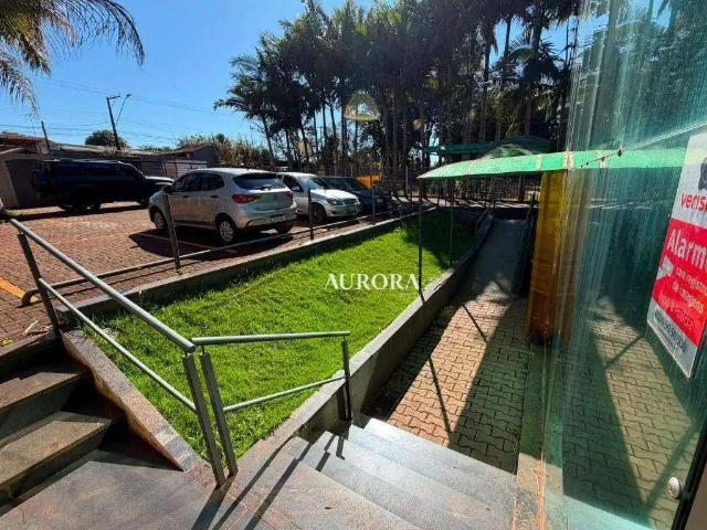 Sítio / Chácara para Venda em Londrina/PR Gleba Palhano 6 Quartos
