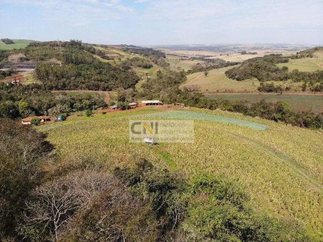 Sítio / Chácara para Venda em Londrina/PR Irerê 1 Quartos
