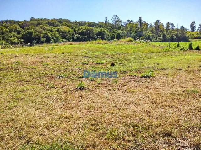 Sítio / Chácara para Venda em Londrina/PR Jardim Nova Esperança