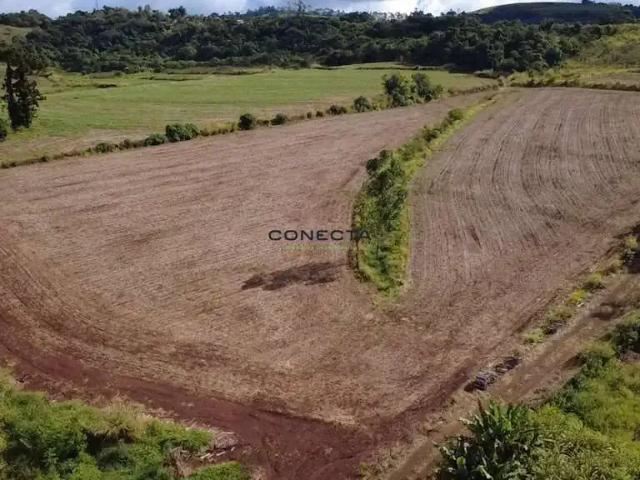 Sítio / Chácara para Venda em Londrina/PR Limoeiro