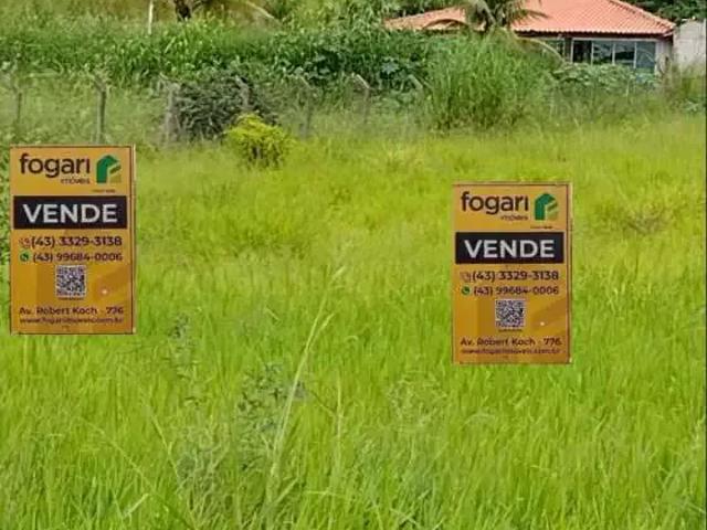 Sítio / Chácara para Venda em Londrina/PR Limoeiro 1 Quartos