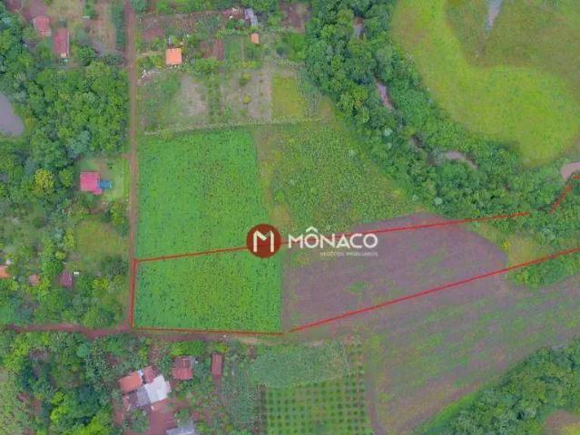 Sítio / Chácara para Venda em Londrina/PR Limoeiro 1 Quartos