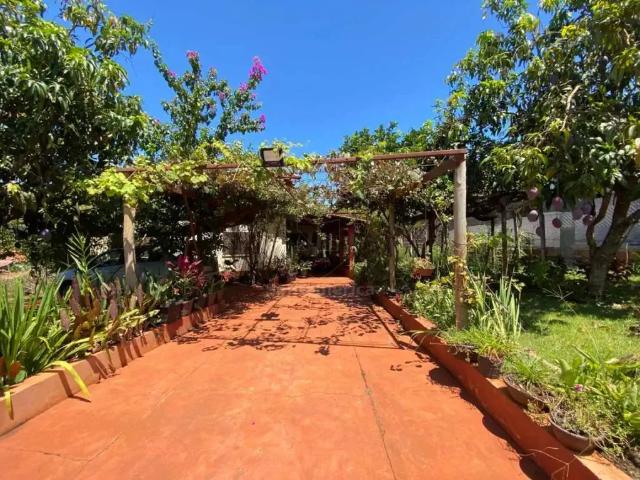 Sítio / Chácara para Venda em Londrina/PR Limoeiro 2 Quartos
