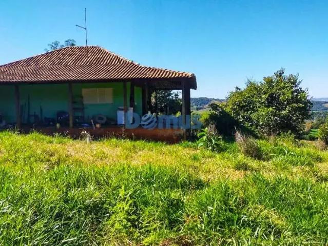 Sítio / Chácara para Venda em Londrina/PR Limoeiro 2 Quartos