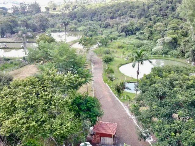 Sítio / Chácara para Venda em Londrina/PR Limoeiro 2 Quartos