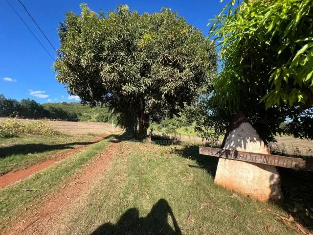 Sítio / Chácara para Venda em Londrina/PR Limoeiro