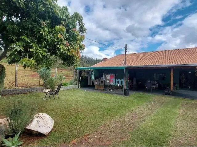 Sítio / Chácara para Venda em Londrina/PR Limoeiro 3 Quartos