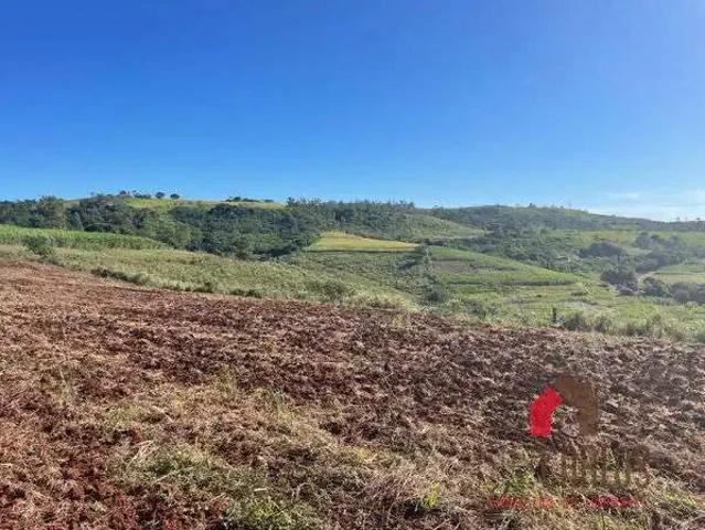 Sítio / Chácara para Venda em Londrina/PR Ouro Branco 1 Quartos