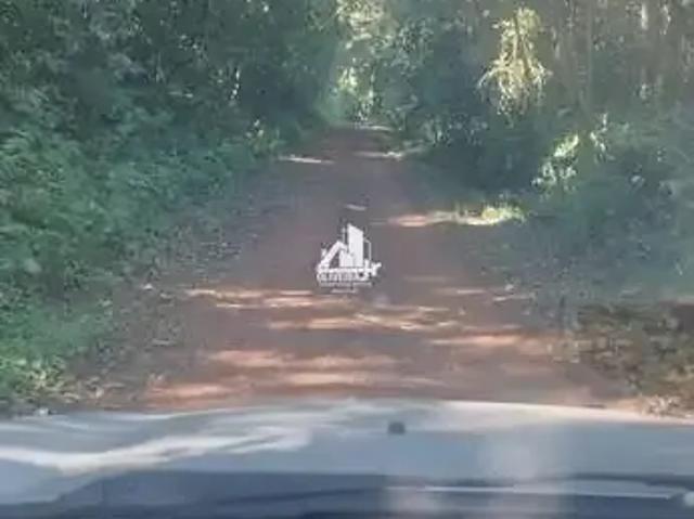 Sítio / Chácara para Venda em Londrina/PR Paiquerê