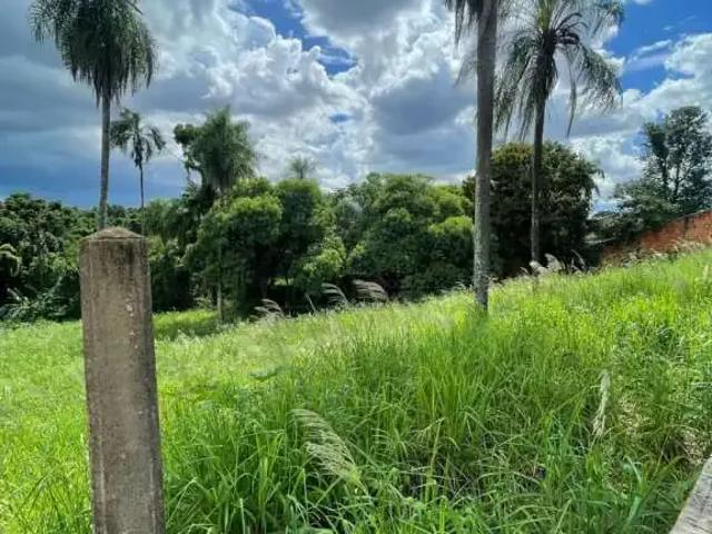 Sítio / Chácara para Venda em Londrina/PR Parque Jamaica 1 Quartos