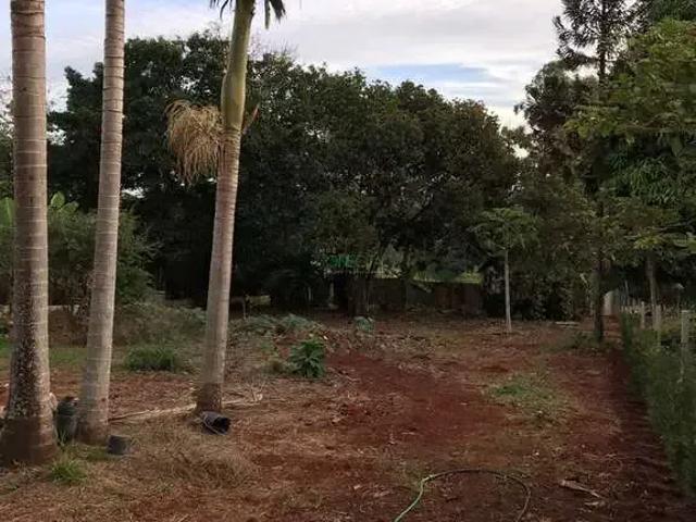 Sítio / Chácara para Venda em Londrina/PR Parque Nacional