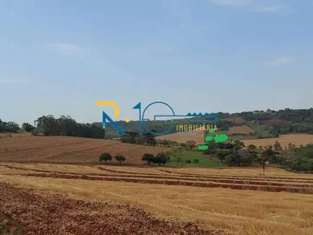 Sítio / Chácara para Venda em Londrina/PR Património Regina
