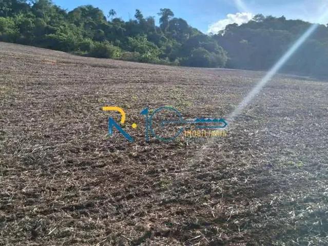 Sítio / Chácara para Venda em Londrina/PR São Luiz