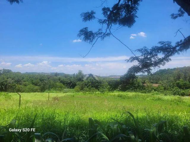 Sítio / Chácara para Venda em Londrina/PR Selva