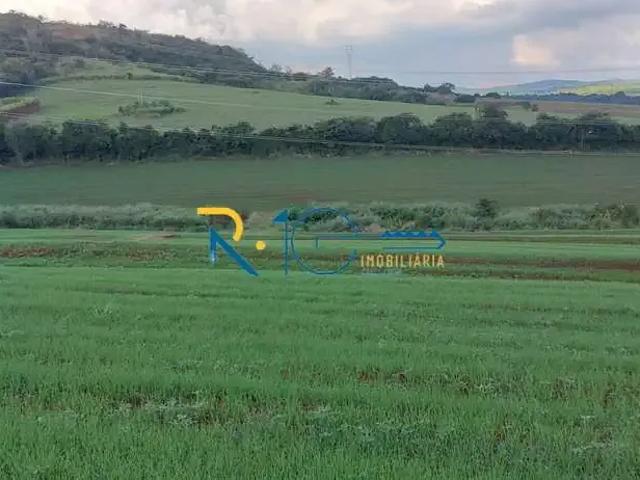 Sítio / Chácara para Venda em Londrina/PR Selva