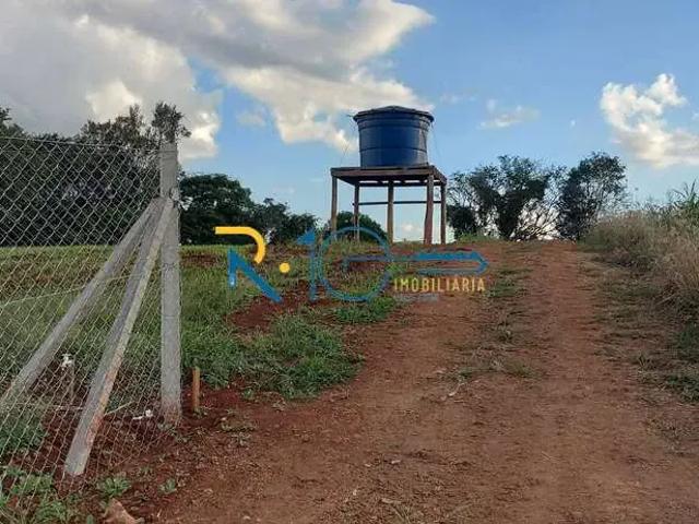 Sítio / Chácara para Venda em Londrina/PR Selva