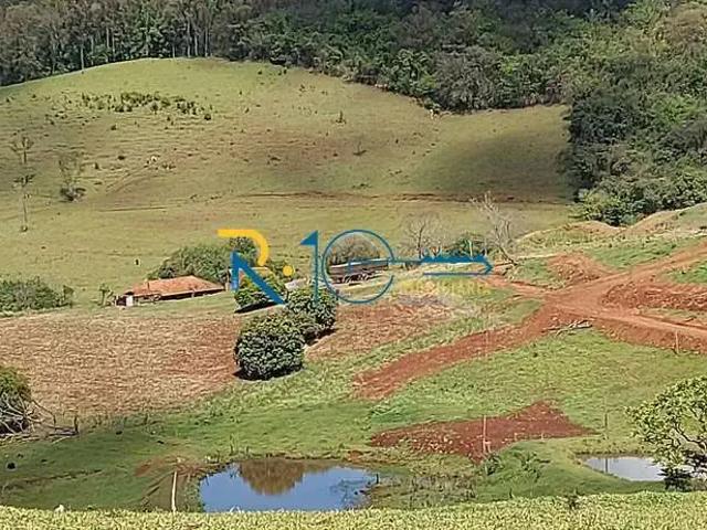 Sítio / Chácara para Venda em Londrina/PR Selva