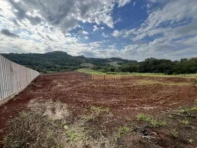Sítio / Chácara para Venda em Londrina/PR Selva 1 Quartos